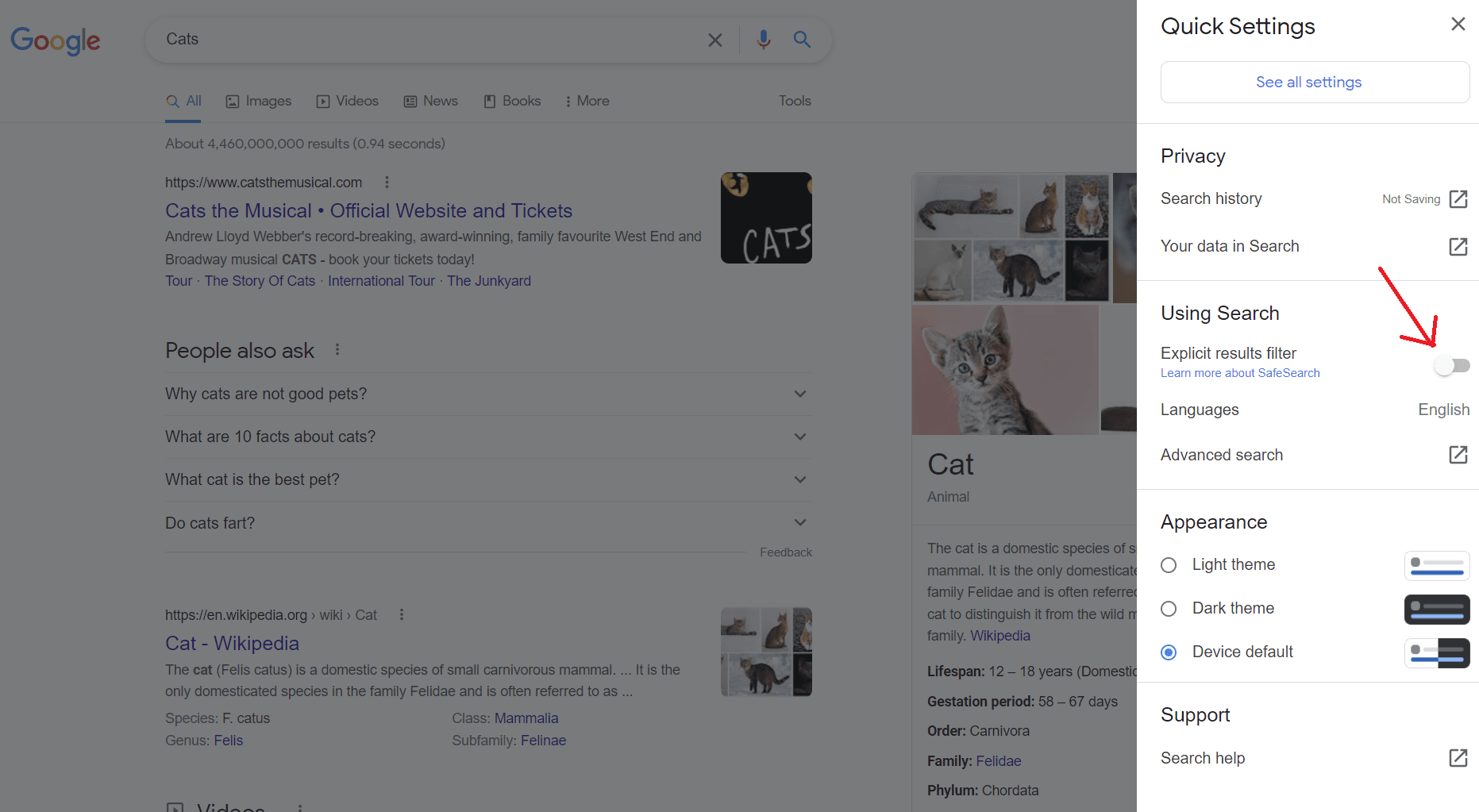 Why Is My Website Not Showing Up On Google? - Marketing Agency St. Louis